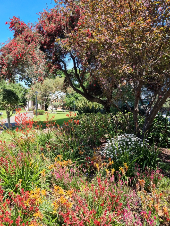Spring in Perth: 5 places to enjoy this season in and around the city ...