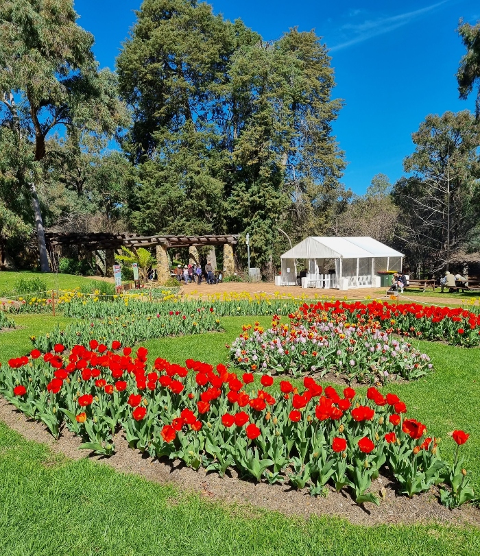 Spring in Perth: 5 places to enjoy this season in and around the city ...